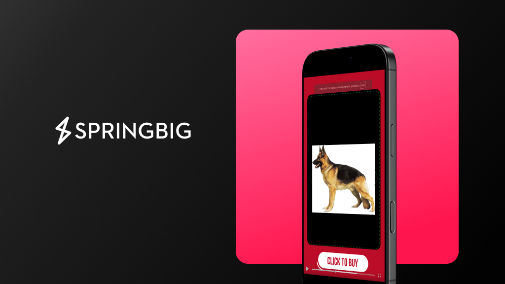 Springbig’s Innovative Video Campaign with Blings.io Doubles Online Sales - Blings